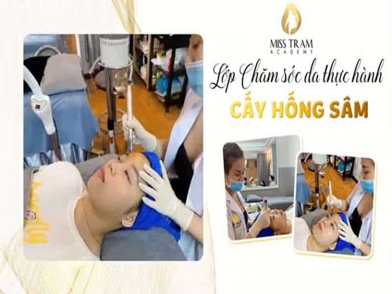 Tham Khảo Giờ Học Thực Hành Cấy Hồng Sâm 2025